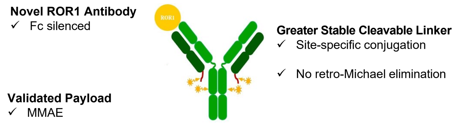 RB-164™: ‘Best in Class’, Next Generation ROR-1 ADC – Radiance Biopharma